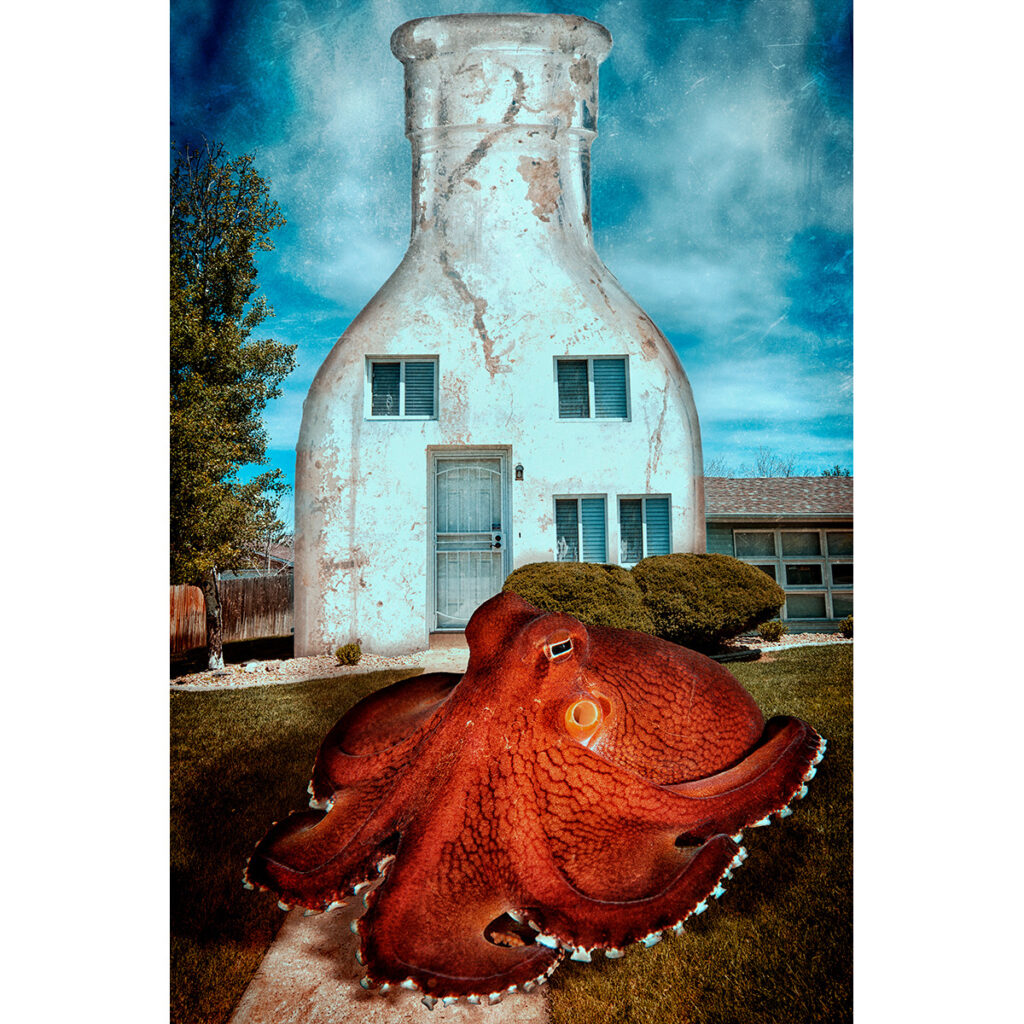 Coconut Octopus House - Underwater Surrealism - Conor Culver